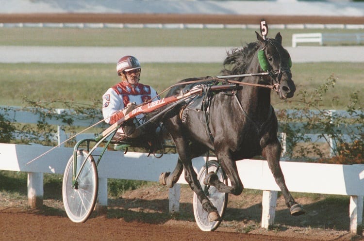 Memories of Mack – Harness Racing Update