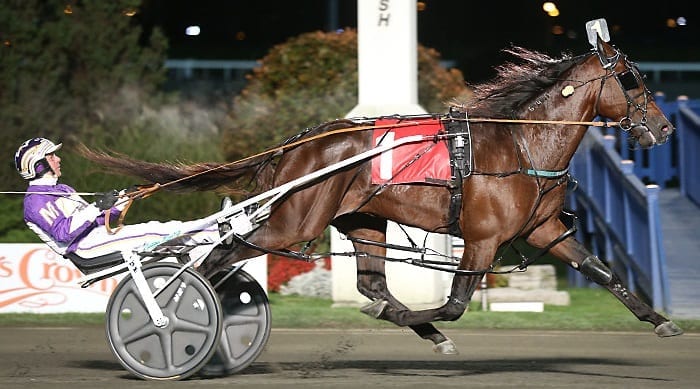 A Frank Look at The Franklin – Harness Racing Update