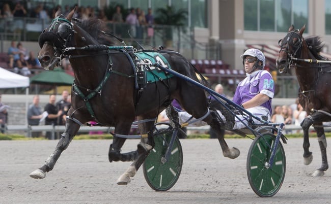 Racing Hill stunning in Adios - Harness Racing Update