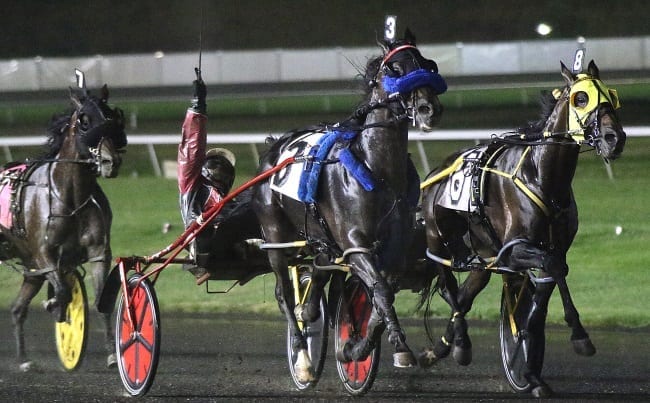 Graduating with Honors – Harness Racing Update
