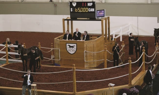 Ontario on the Brink of a Revival? – Harness Racing Update