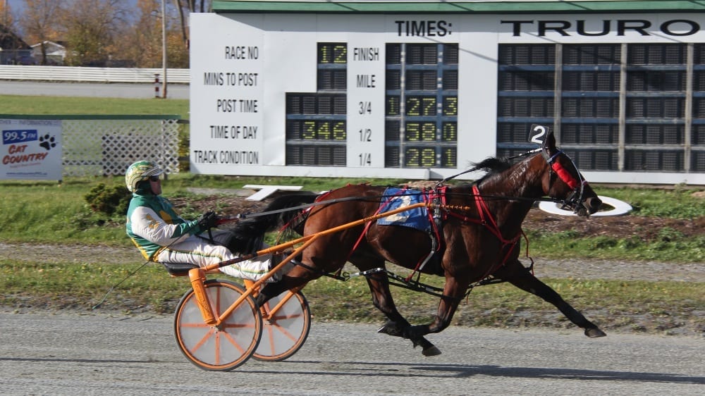For the love of the game – Harness Racing Update