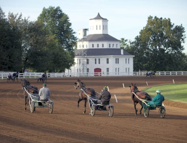 Historical Racing machines now bringing in significant revenue at Red ...