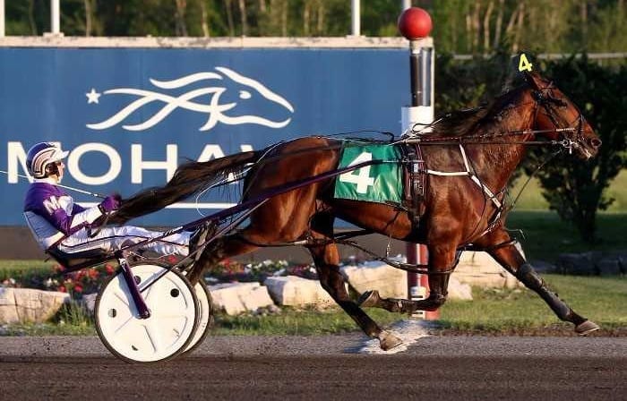 Did David Miller make right call with Dragon? – Harness Racing Update