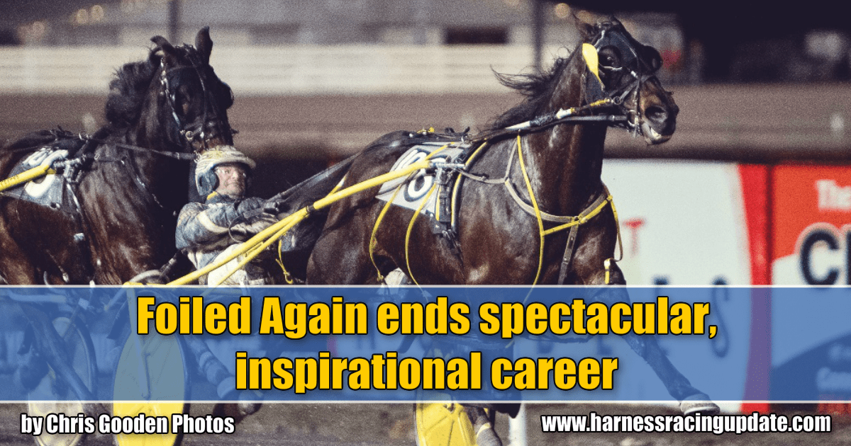 Foiled Again ends spectacular, inspirational career - Harness Racing Update