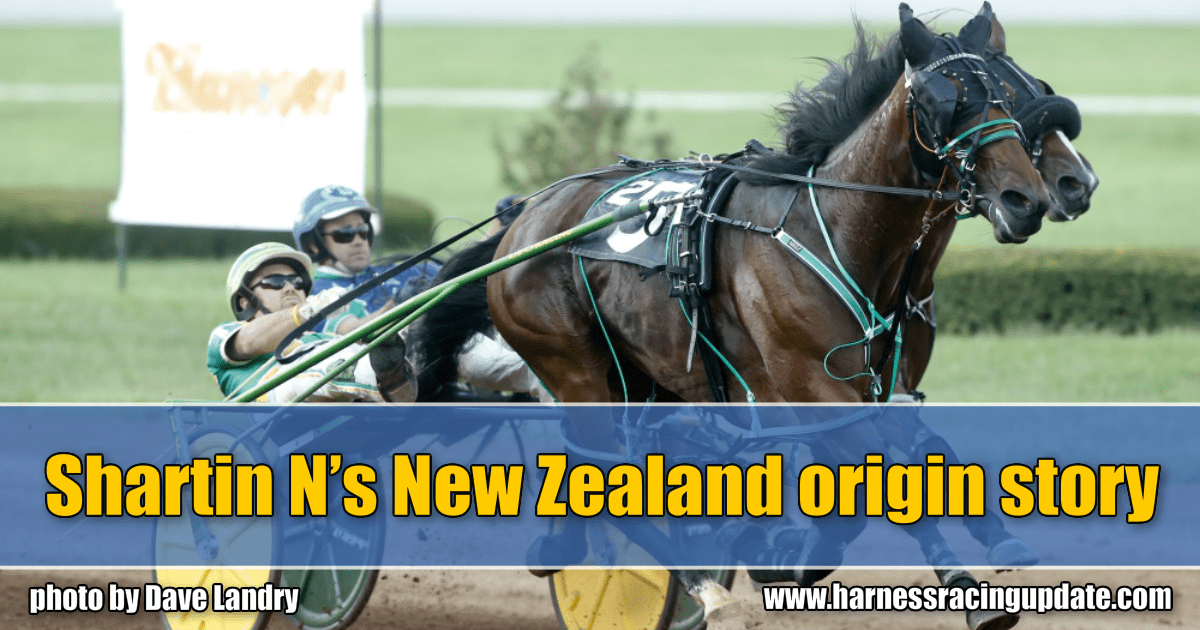 Shartin N’s New Zealand origin story – Harness Racing Update