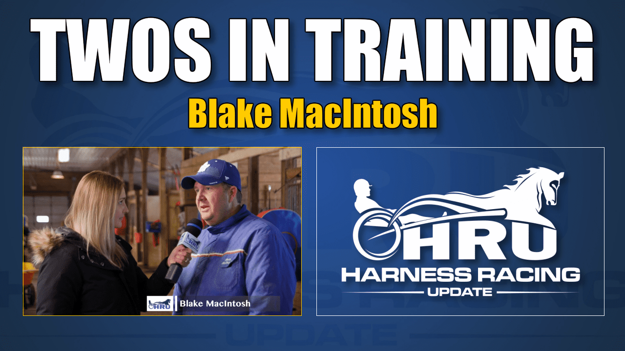 Blake MacIntosh in the HRU 2yos in training video spotlight - Harness ...