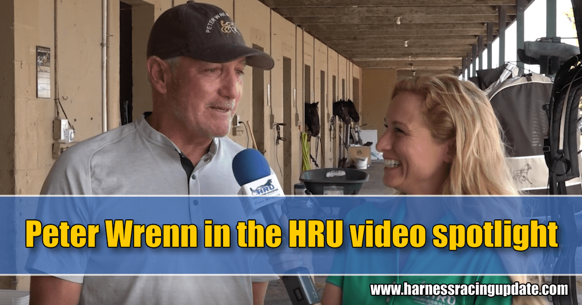 Peter Wrenn in video spotlight - Harness Racing Update