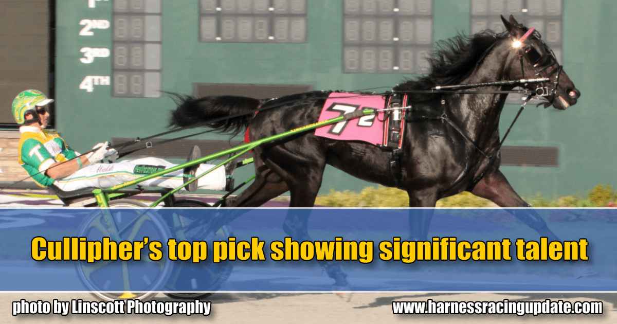 Cullipher’s top pick showing significant talent – Harness Racing Update