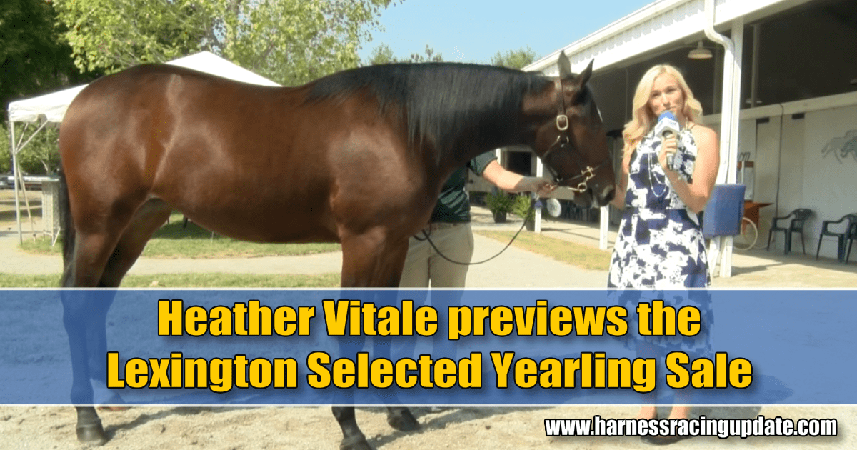 Heather Vitale puts Lexington in the HRU video spotlight – Harness ...