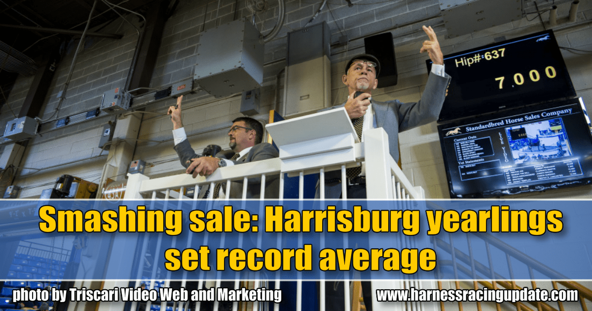 Smashing sale – Harness Racing Update
