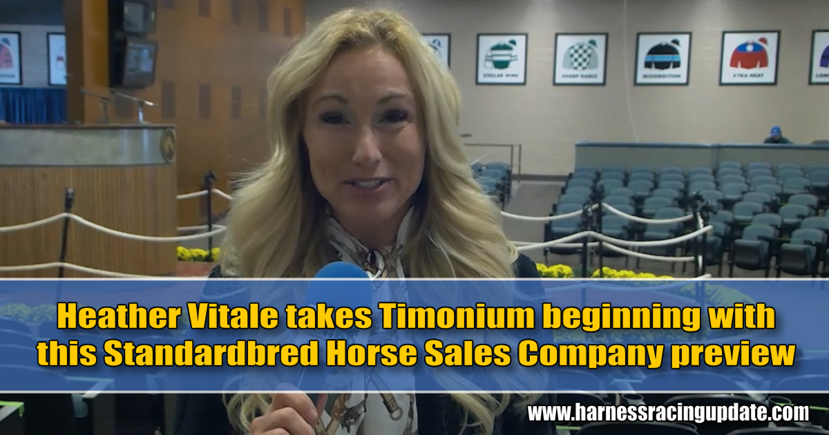 Heather Vitale takes Timonium - Harness Racing Update