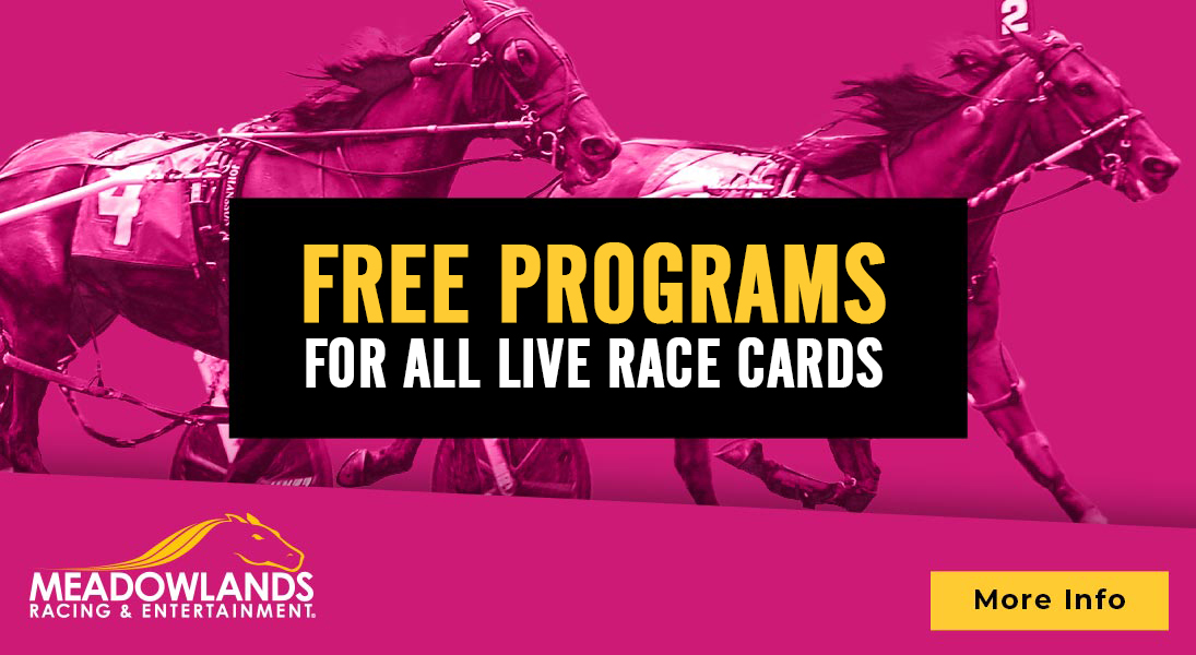 Staying Together - the oldest living Horse of the Year - Harness Racing ...