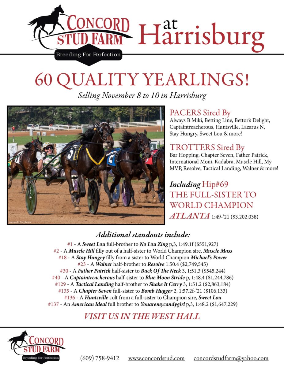 Hollywood's Hits: The greatest day in Meadowlands history - Harness ...