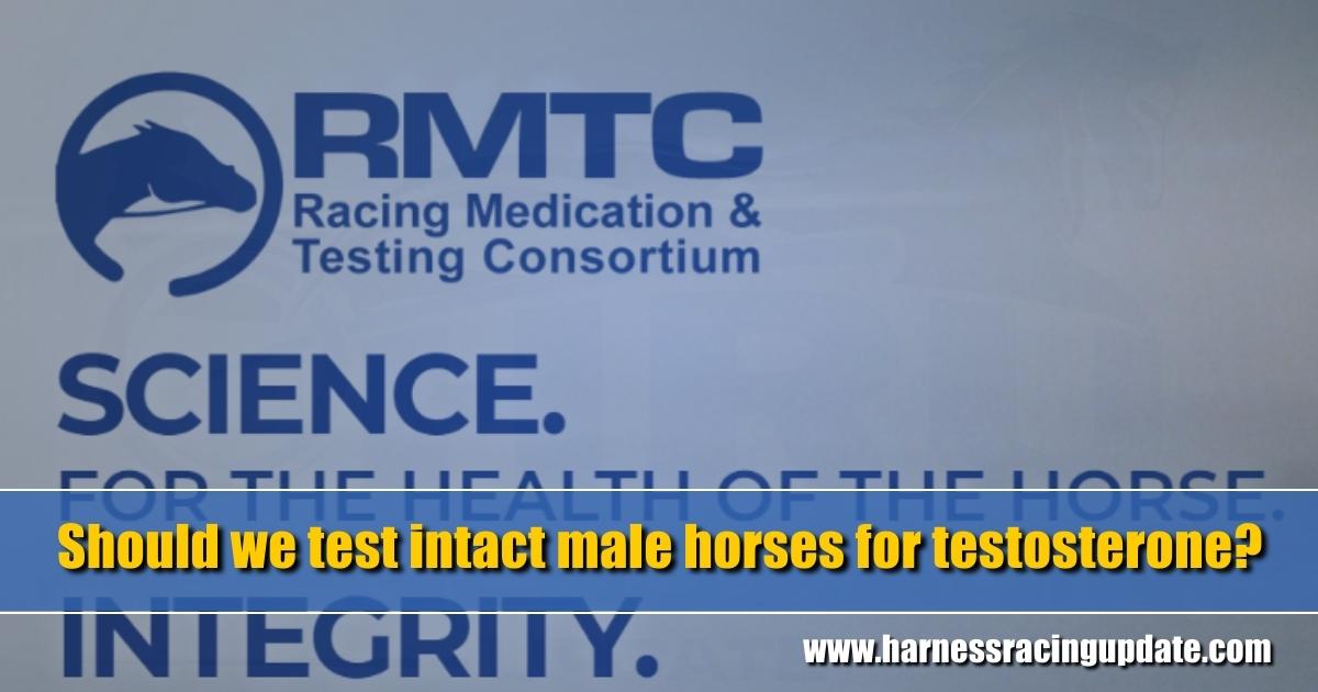 Should we test intact male horses for testosterone? – Harness Racing Update