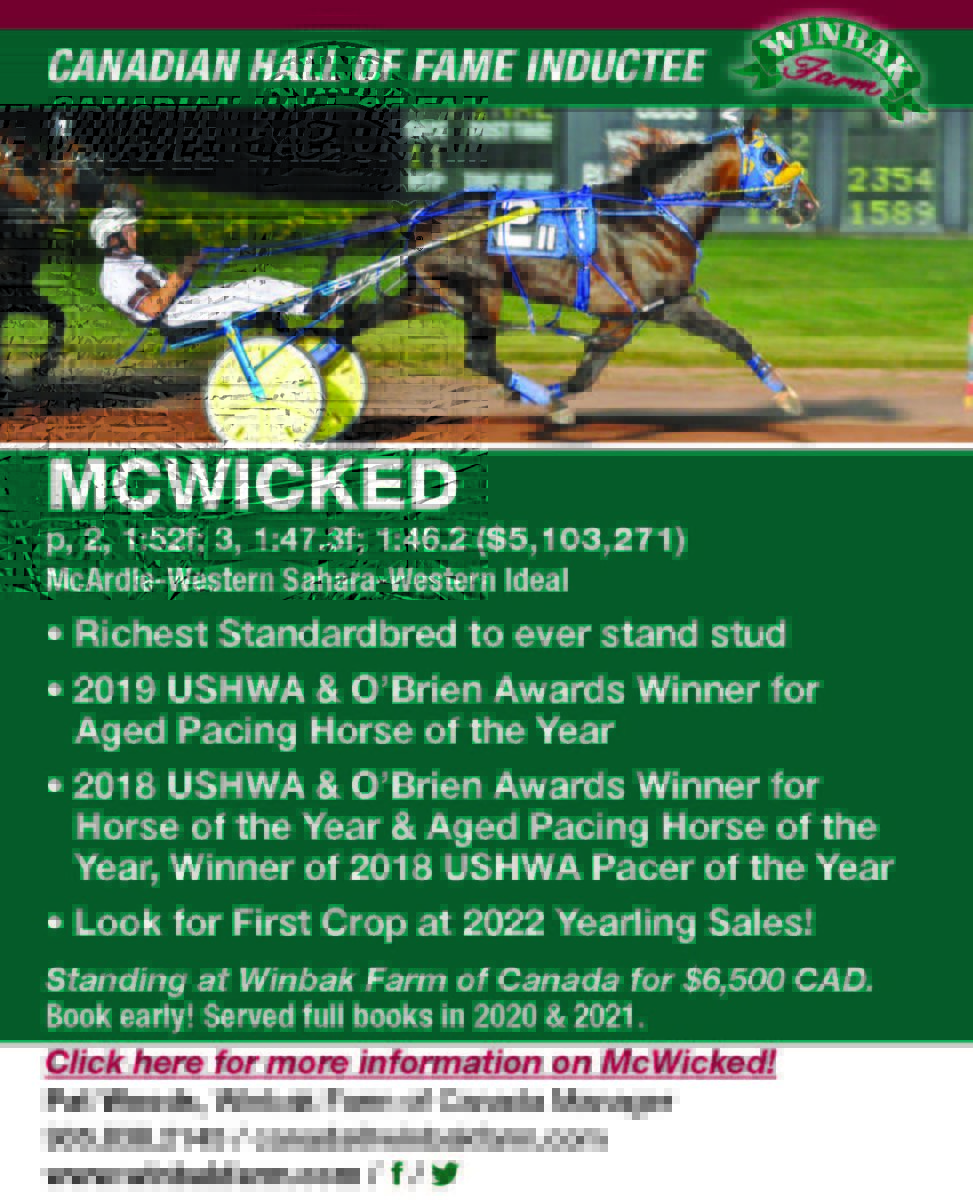 Catch The Fire sizzles to exhilarating finish in Dan Patch - Harness ...