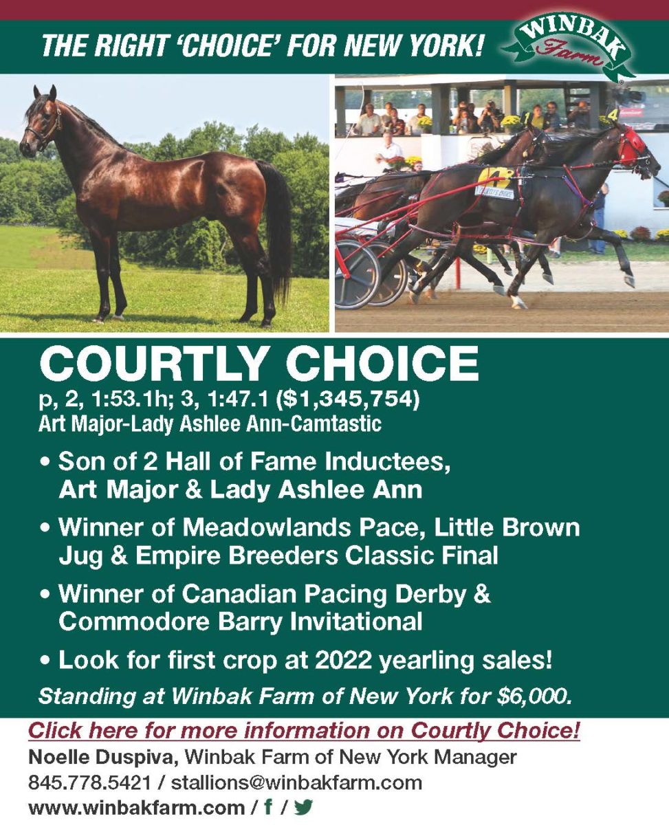 Hannah Miller: driver/trainer/veterinarian specialist - Harness Racing ...