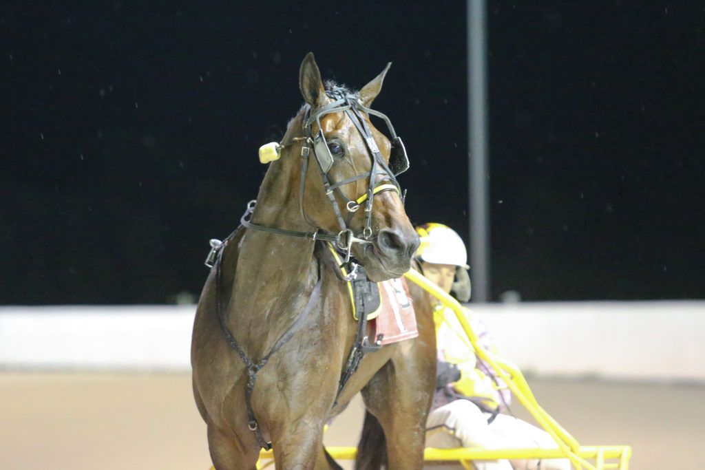 Dover In Motion going farther from Indiana more often in his sophomore ...
