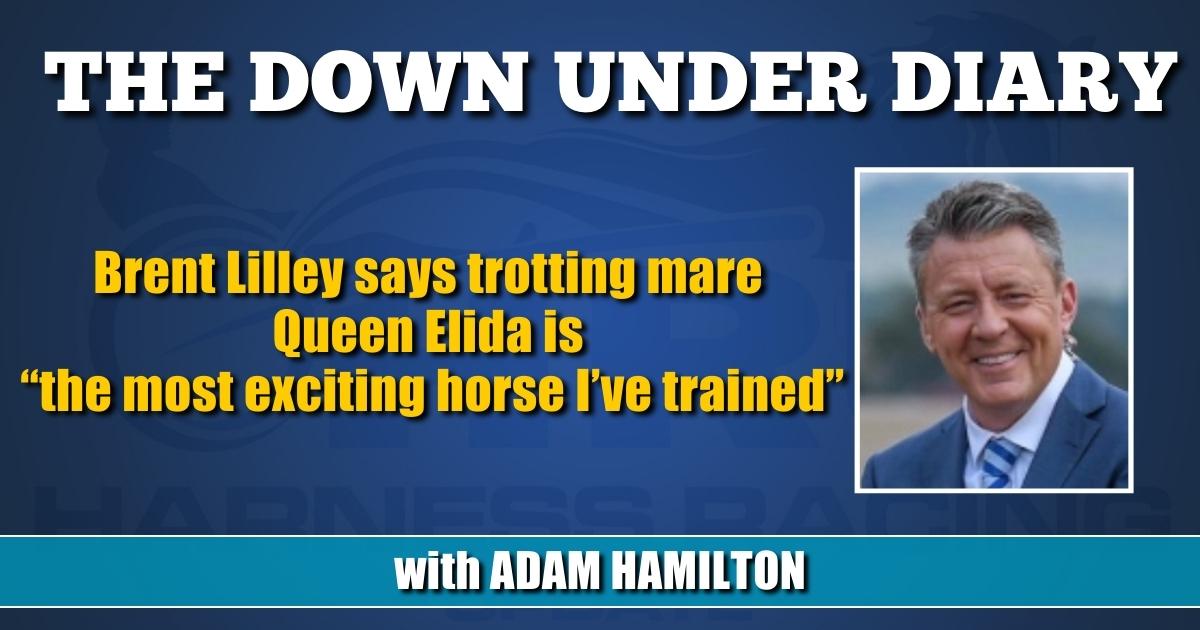 Brent Lilley says trotting mare Queen Elida is “the most exciting horse ...