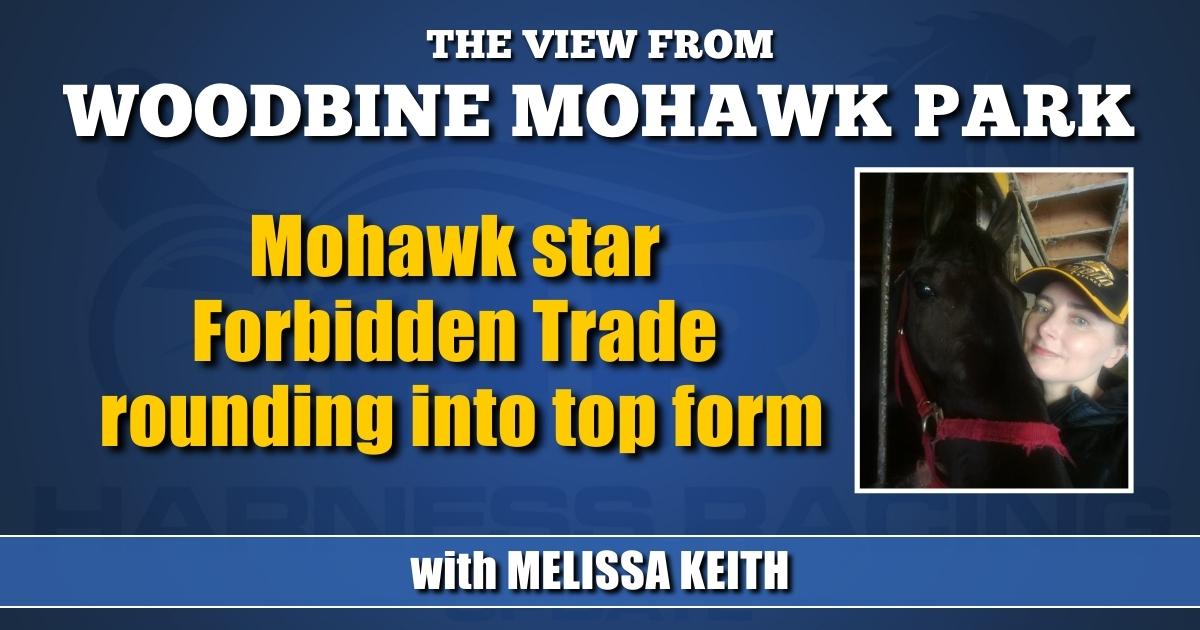 Mohawk star Forbidden Trade rounding into top form - Harness Racing Update