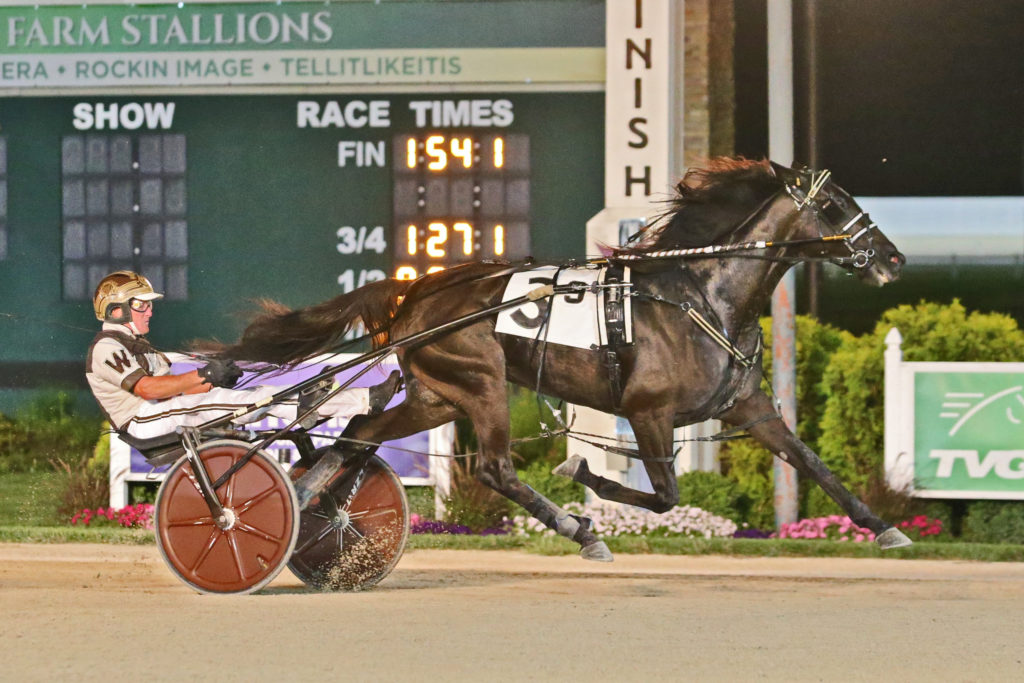 Bluebird Dove flying high in Indiana for Peter and Melanie Wrenn ...