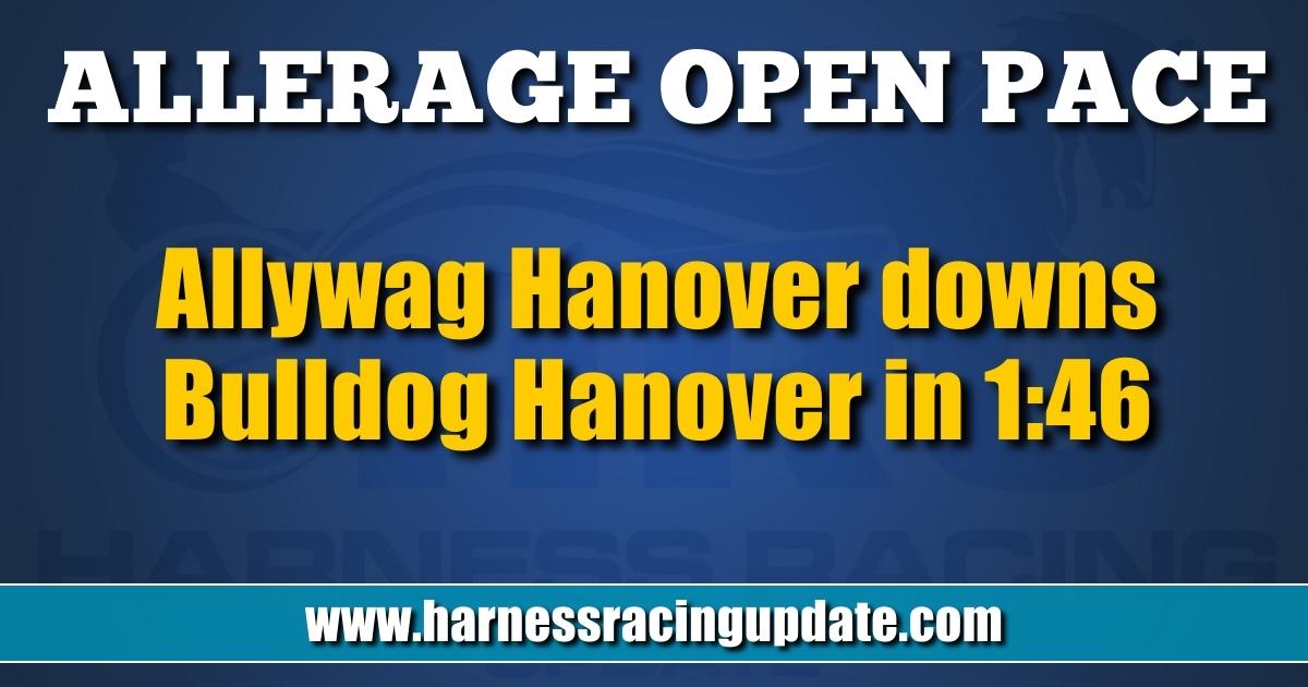 Allywag Hanover downs Bulldog Hanover in 1:46 - Harness Racing Update