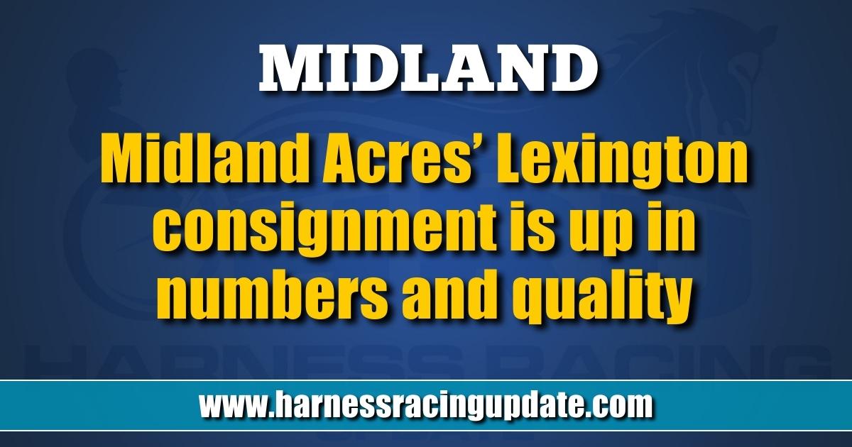 Midland Acres’ Lexington consignment is up in numbers and quality ...