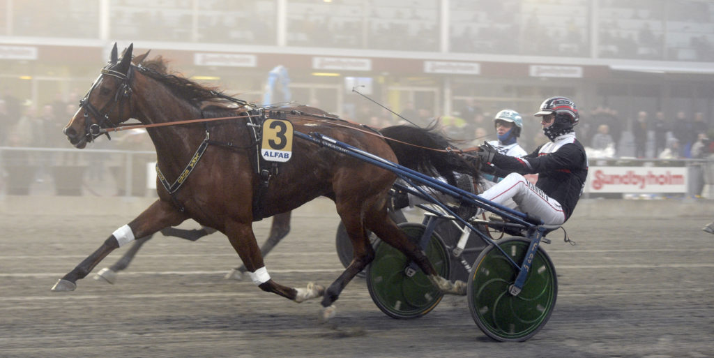 Sparkling performances in Swedish Breeders Crown as Lara Boko sets new ...
