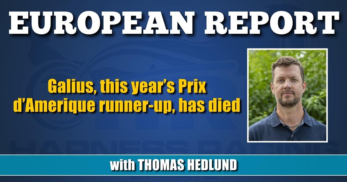 Galius, this year’s Prix d’Amerique runner-up, has died - Harness ...