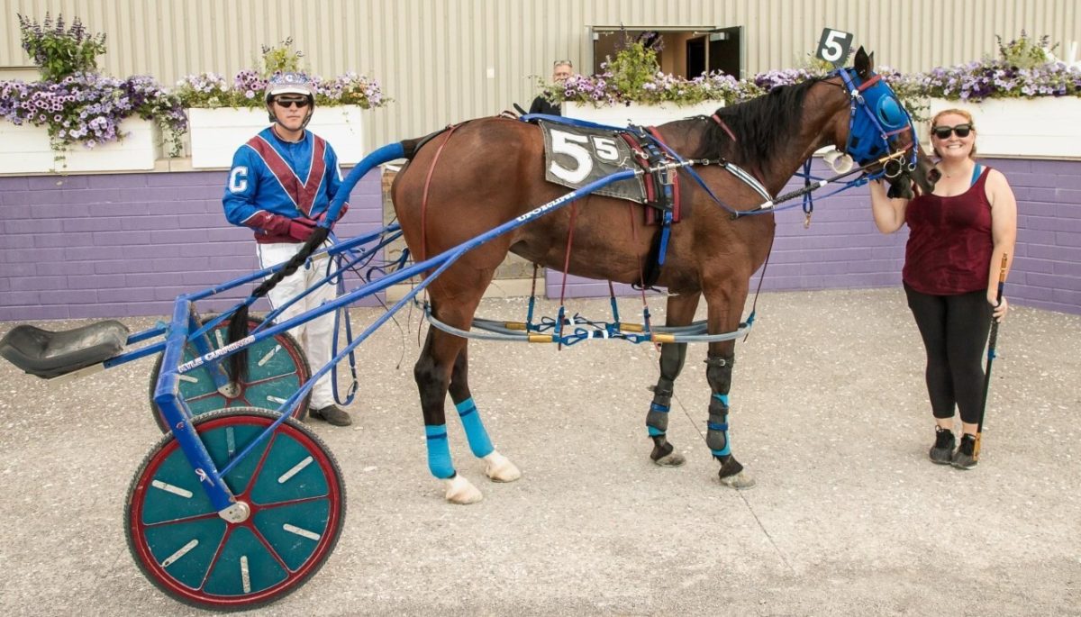 Alyssa Cummings continues to nurse her love of harness racing - Harness ...