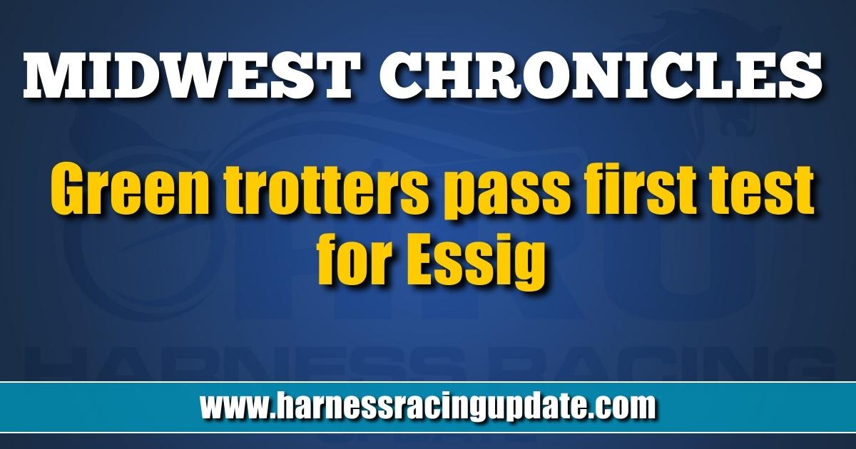 Green trotters pass first test for Essig - Harness Racing Update