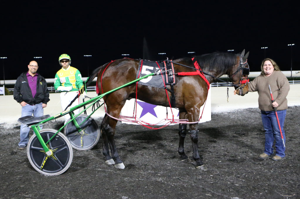 Six Again gaining valuable experience in Landess Series - Harness ...