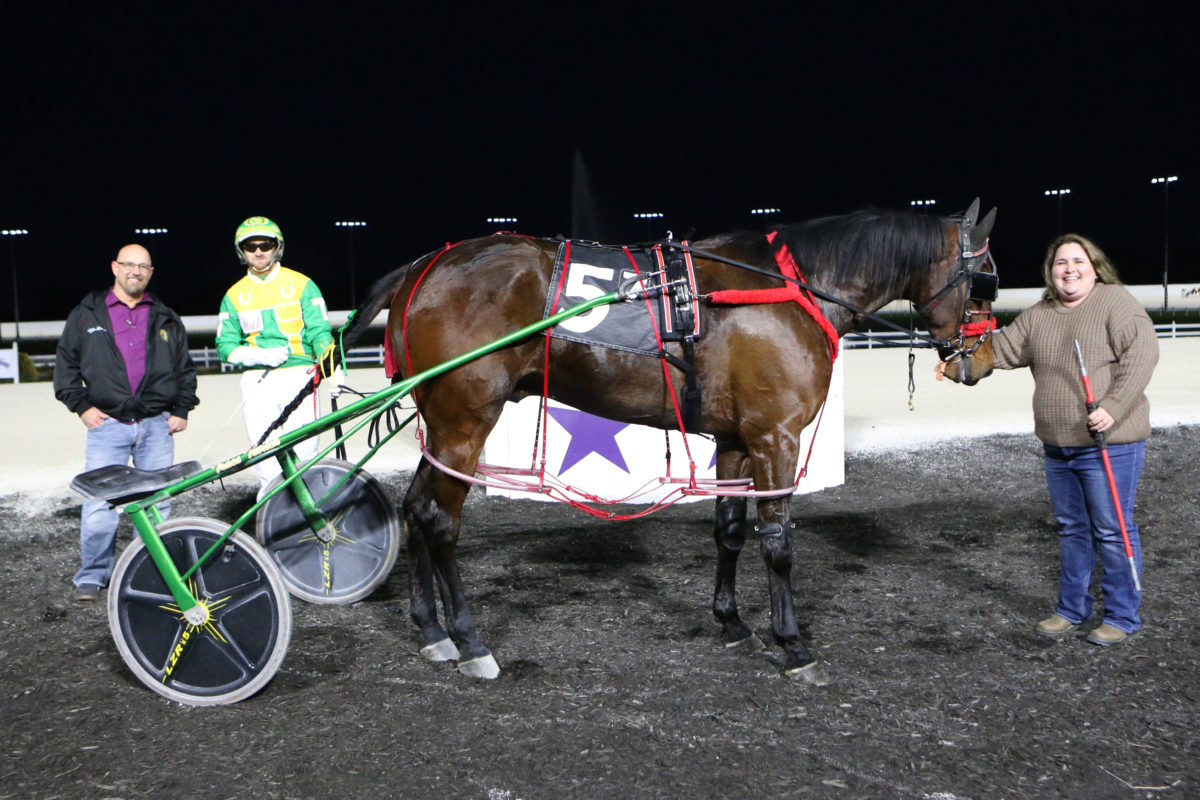 Six Again gaining valuable experience in Landess Series - Harness ...