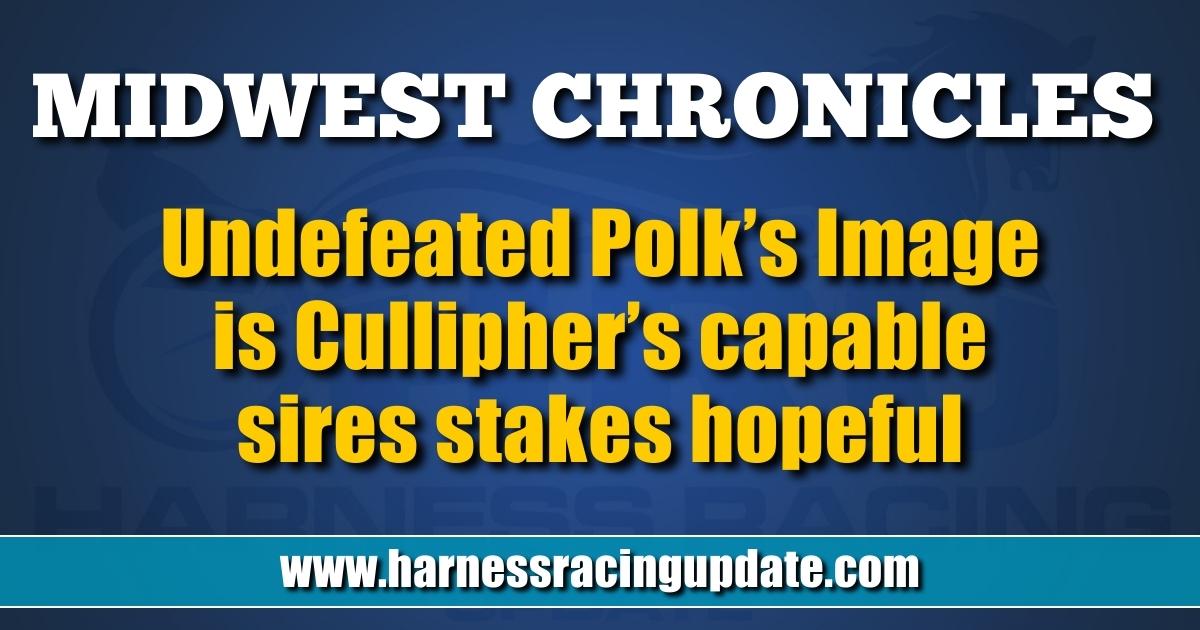 Undefeated Polk’s Image is Cullipher’s capable sires stakes hopeful ...