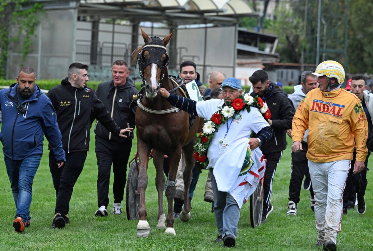 Lotteria in Naples painted in yellow - Harness Racing Update