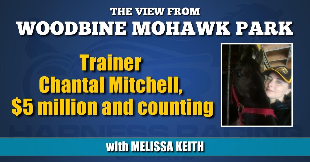 Trainer Chantal Mitchell, $5 million and counting - Harness Racing Update