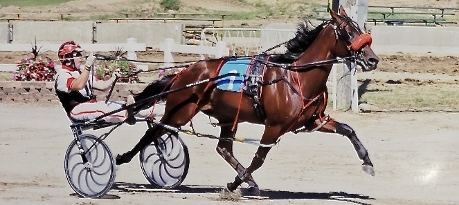 For third-generation horseman Jacob Baird it’s all about family and his ...