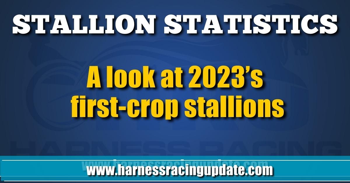 A look at 2023’s first-crop stallions - Harness Racing Update