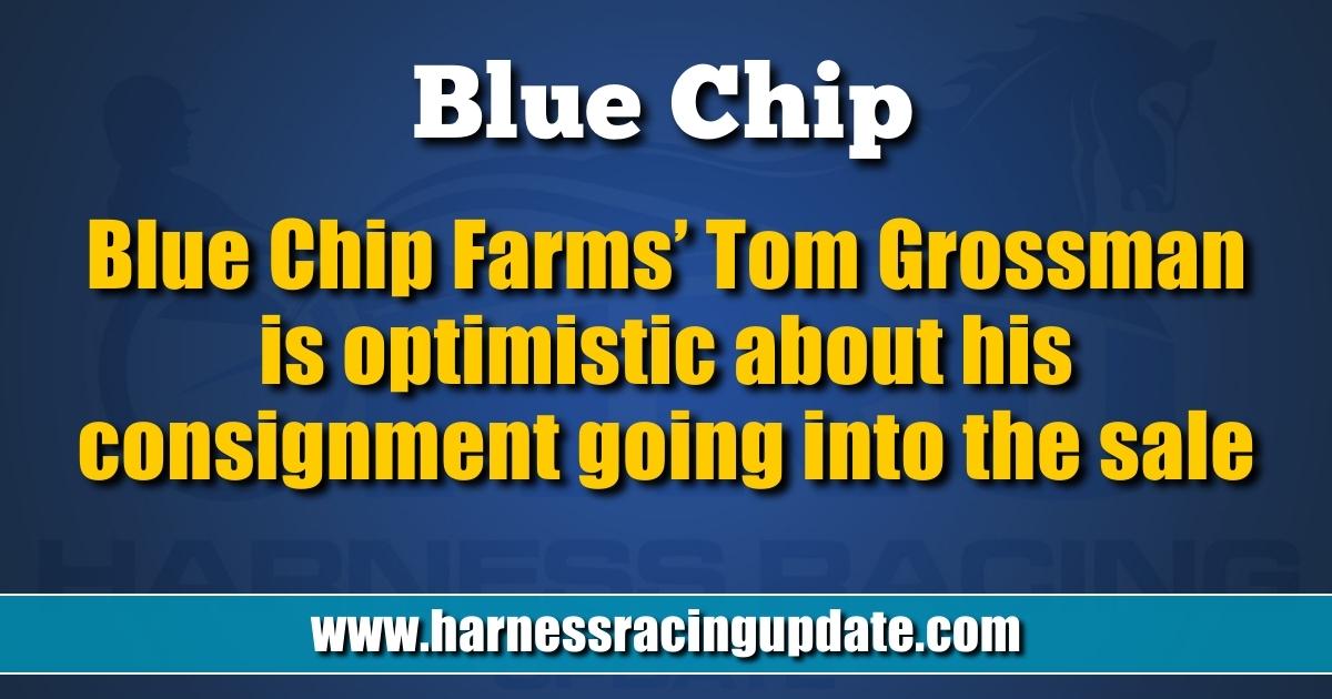 Blue Chip Farms’ Tom Grossman is optimistic about his consignment going ...