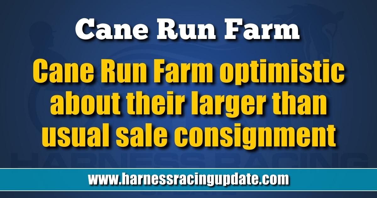 Cane Run Farm optimistic about their larger than usual sale consignment ...