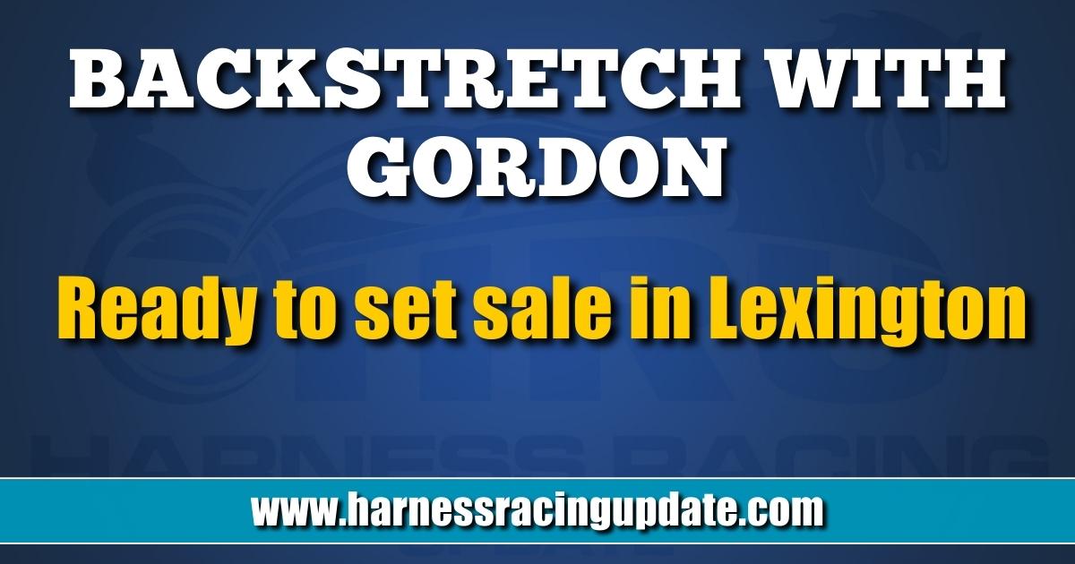 Ready to set sale in Lexington - Harness Racing Update