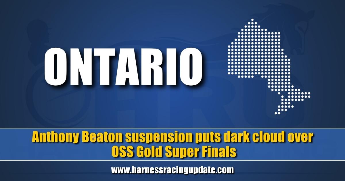 Anthony Beaton suspended on cusp of OSS Gold Super Finals - Harness ...