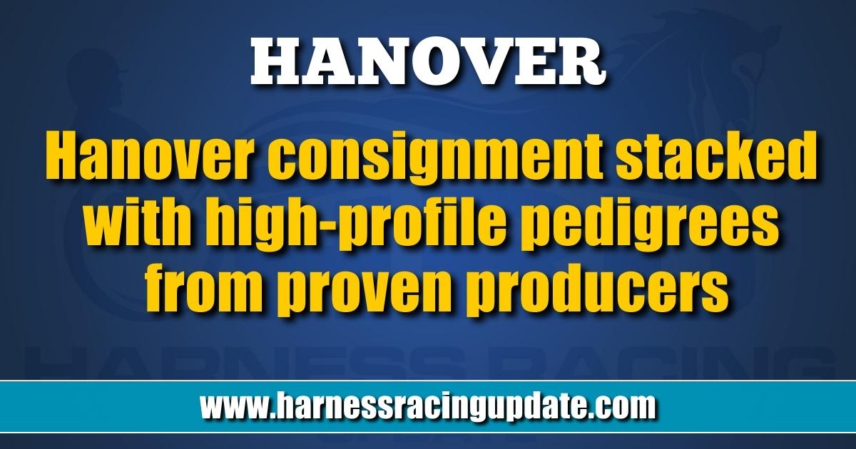 Hanover consignment stacked with high-profile pedigrees from proven ...