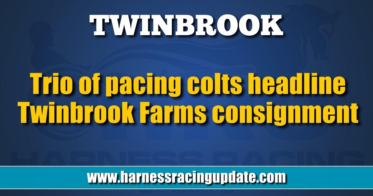 Trio of pacing colts headline Twinbrook Farms consignment - Harness ...