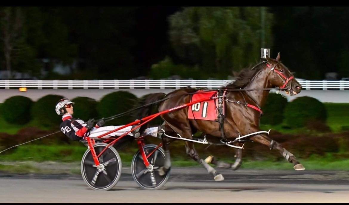 Melissa Beckwith - Trainer, wife, mother - Harness Racing Update