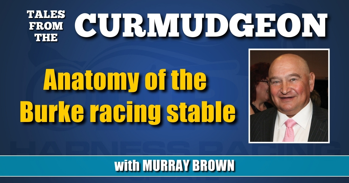 Anatomy of the Burke racing stable - Harness Racing Update