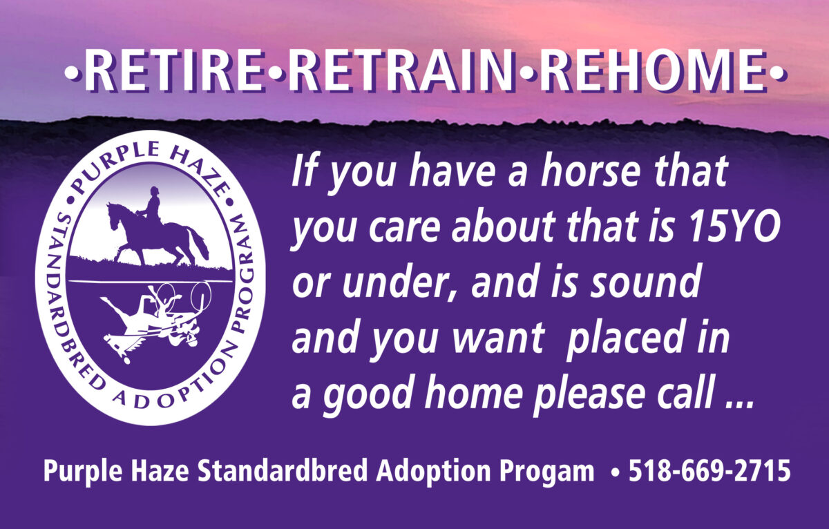 It’s murder - Harness Racing Update