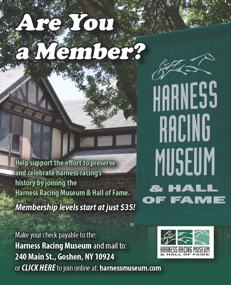 It’s murder - Harness Racing Update