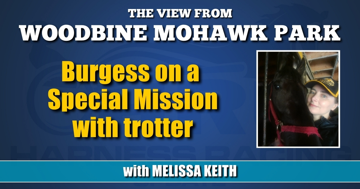 Burgess on a Special Mission with trotter - Harness Racing Update