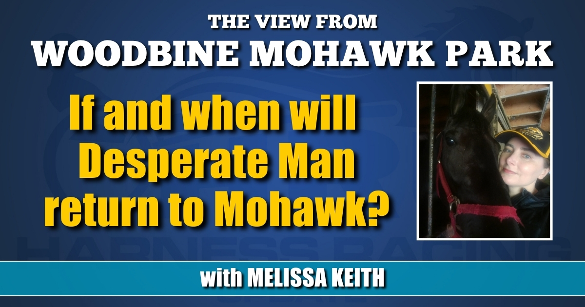 If and when will Desperate Man return to Mohawk? - Harness Racing Update